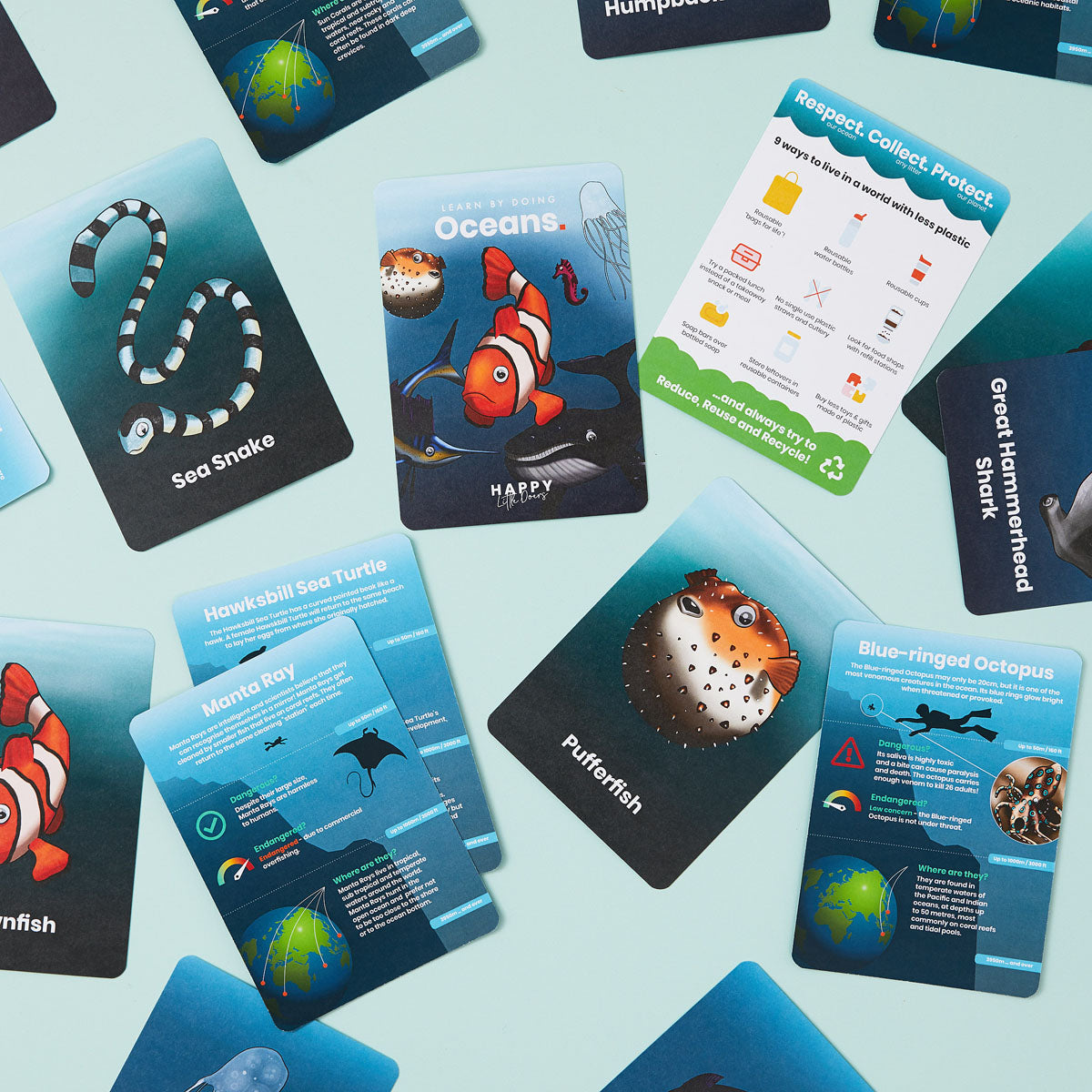 Ocean Flashcards - Sea Creature Flashcards