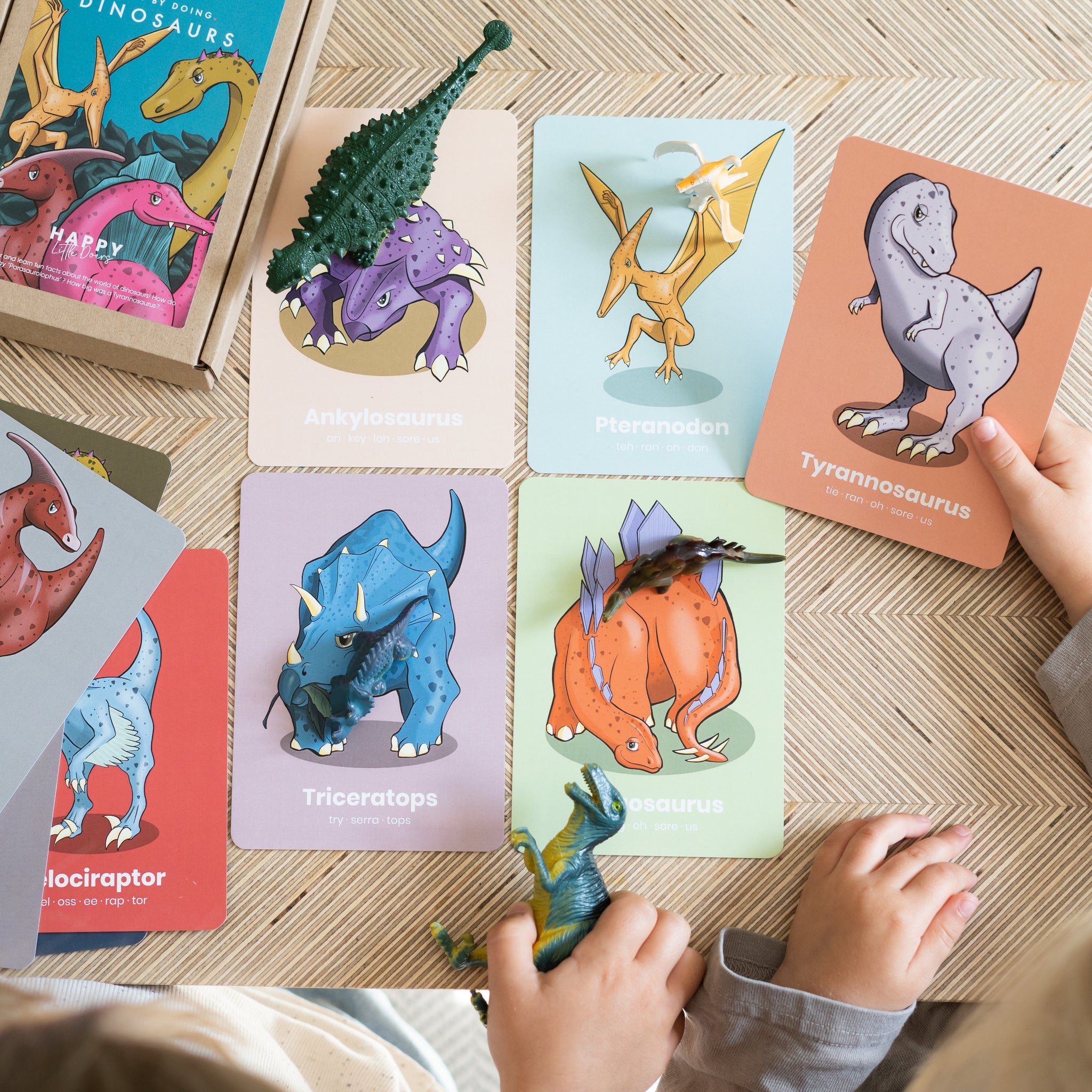 Dinosaur Flashcards - Educational, Beautifully Illustrated