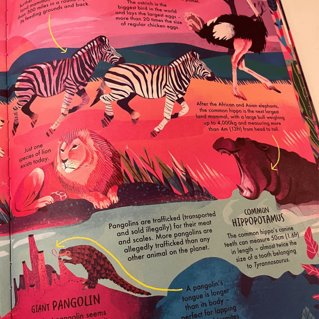 All The Kids - As Large As Life