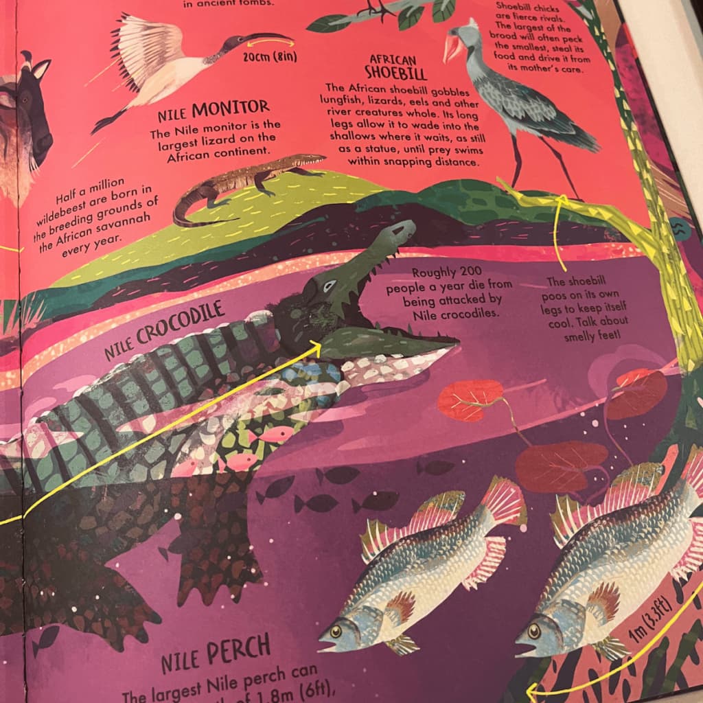 As Large As Life – All The Kids