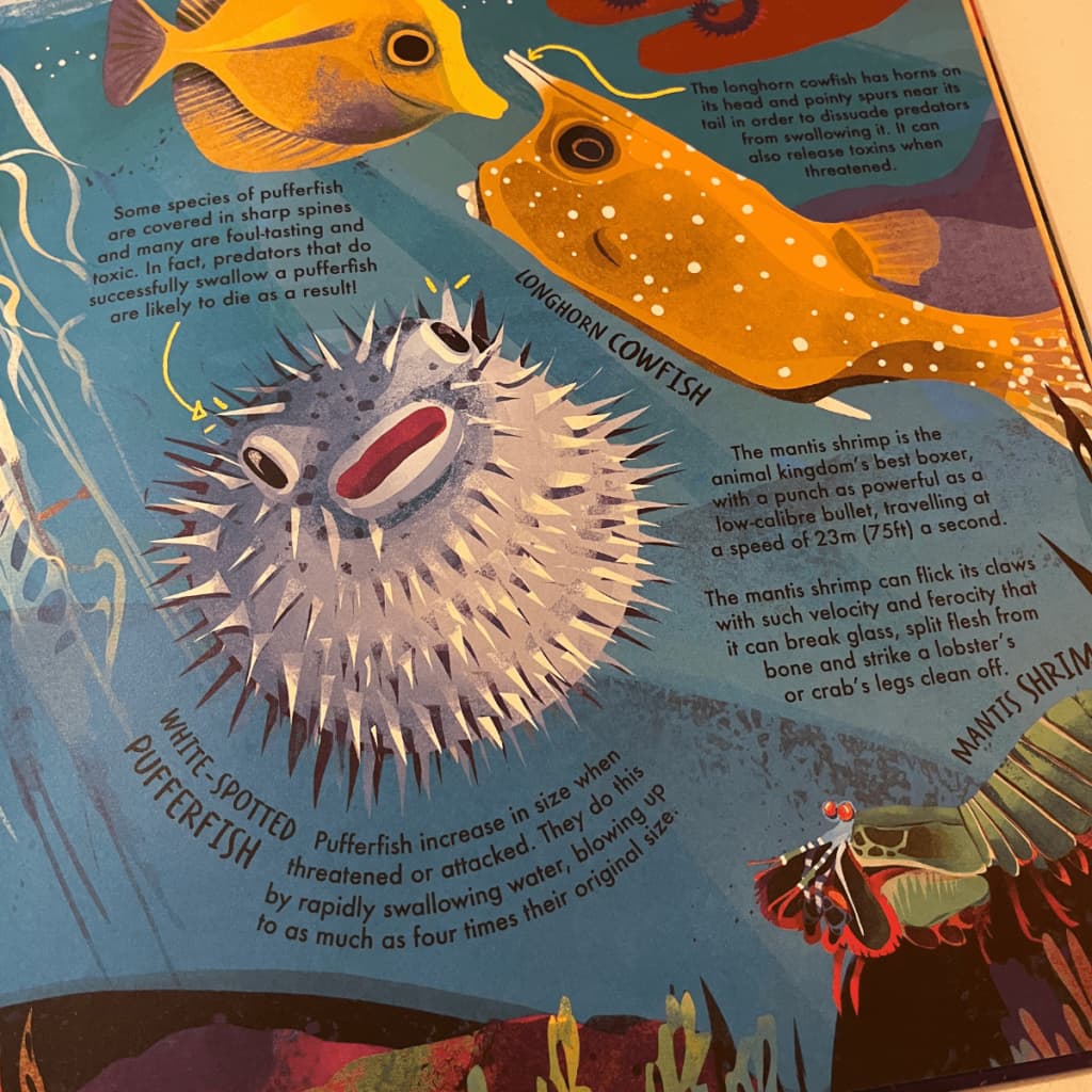 All The Kids - As Large As Life